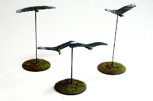 The real buzzard of the Old West plus guide to minis